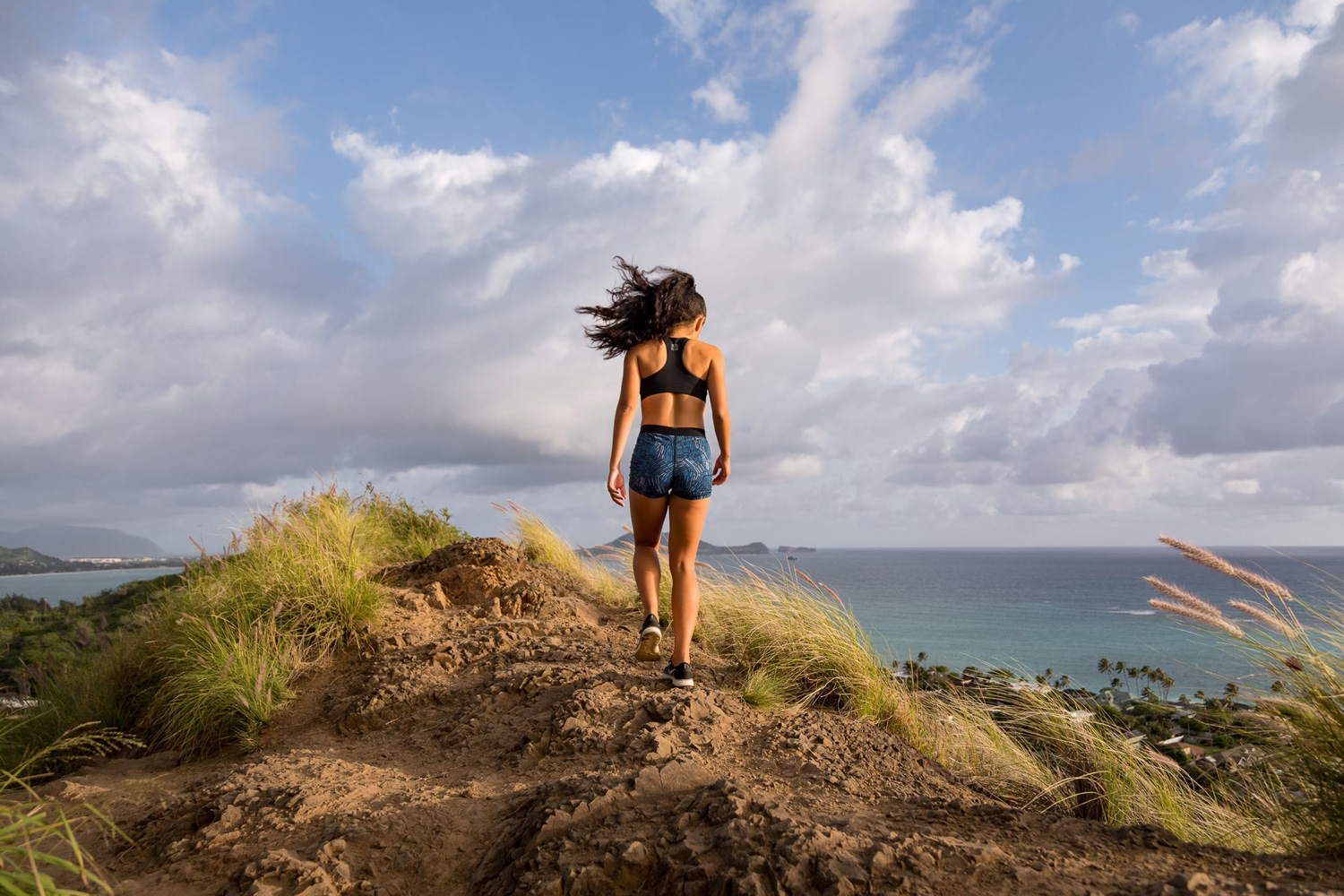 Artist Portfolios & Creative Contact Database | Workbook.com